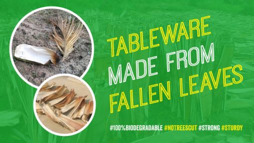 Fallen-Leaves-Plates | Ecoplates